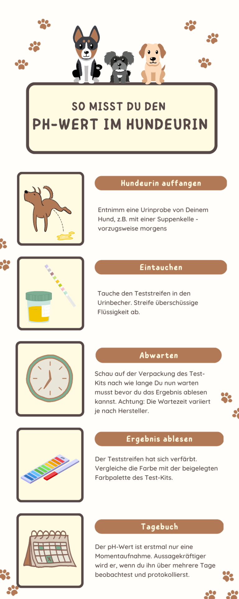 Alles was du über den pH-Wert im Urin deines Hundes wissen musst